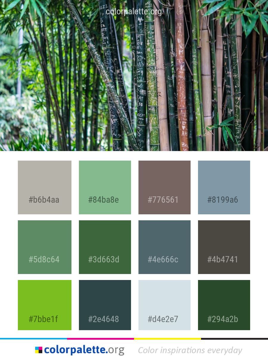 Jungle Color Palette ideas | colorpalette.org