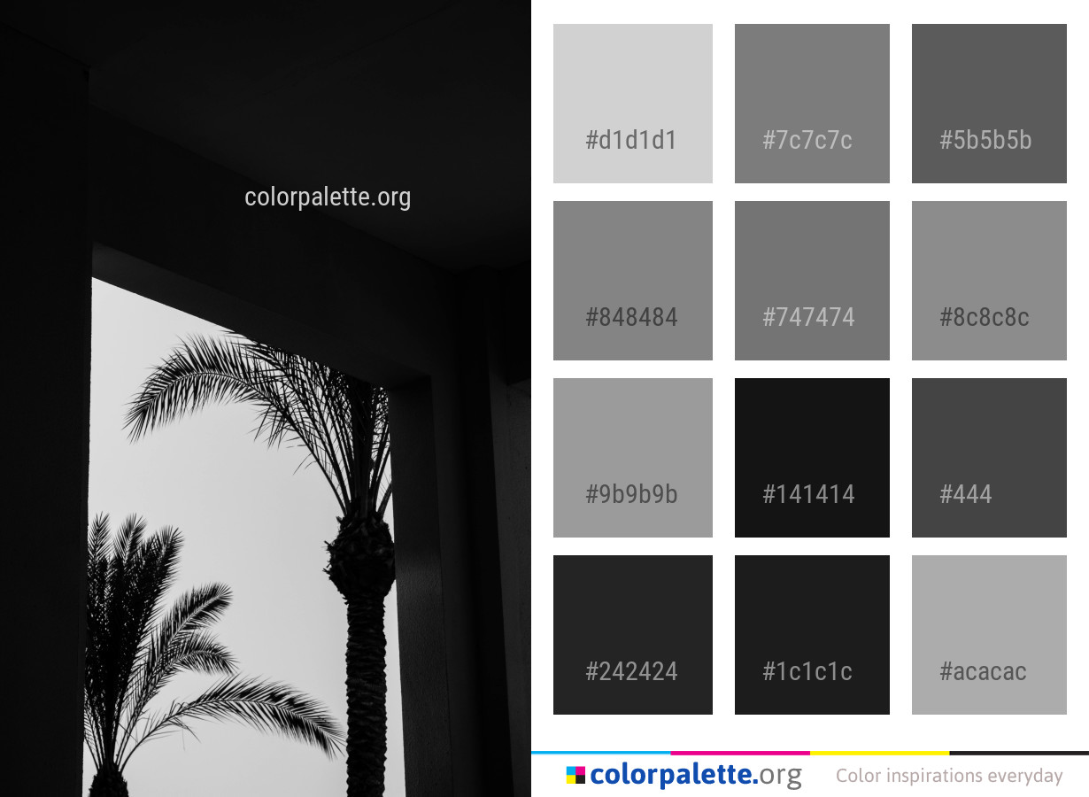 Sky Field Canola Color Palette | colorpalette.org