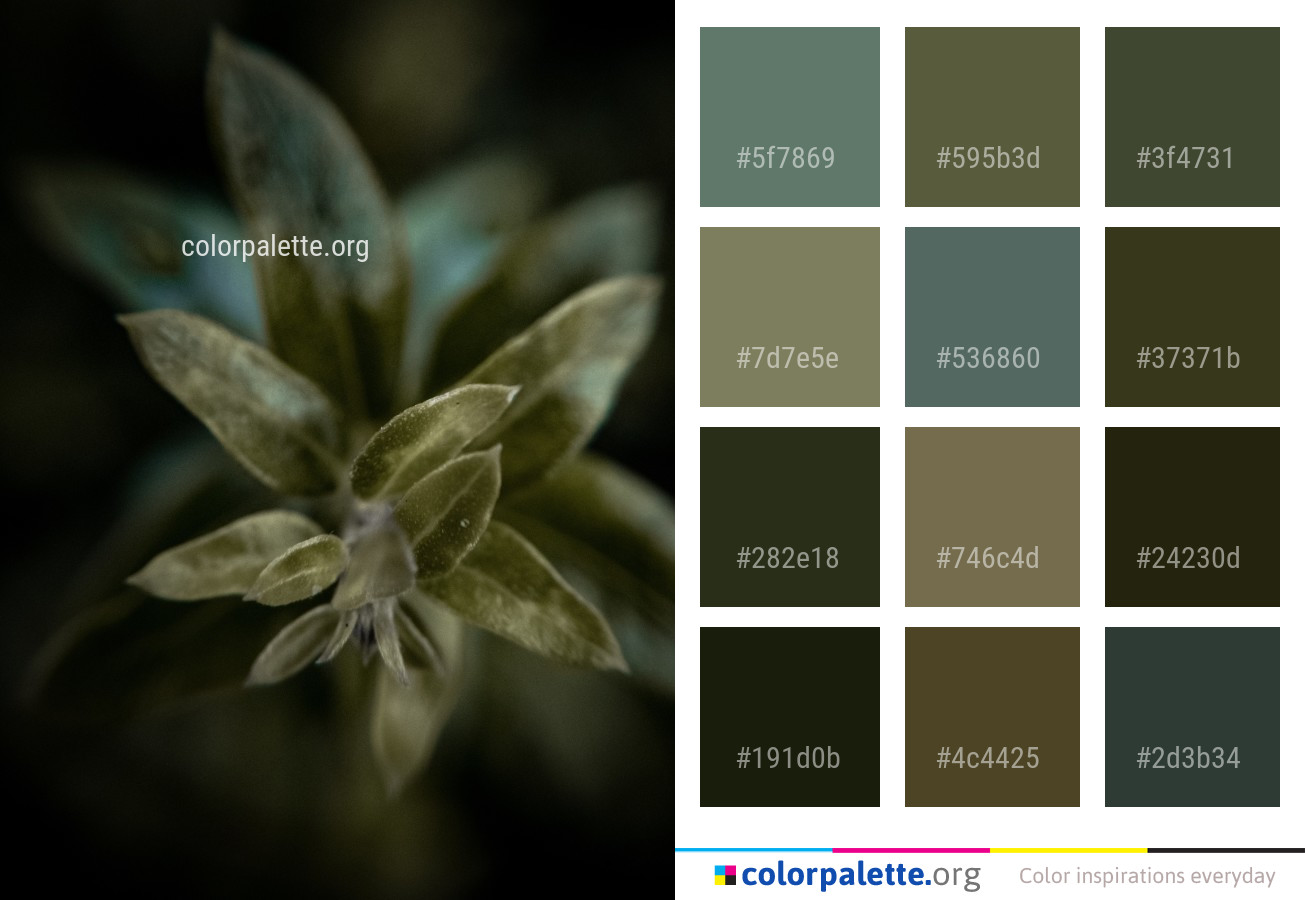 Field Wheat Crop Color Palette | colorpalette.org