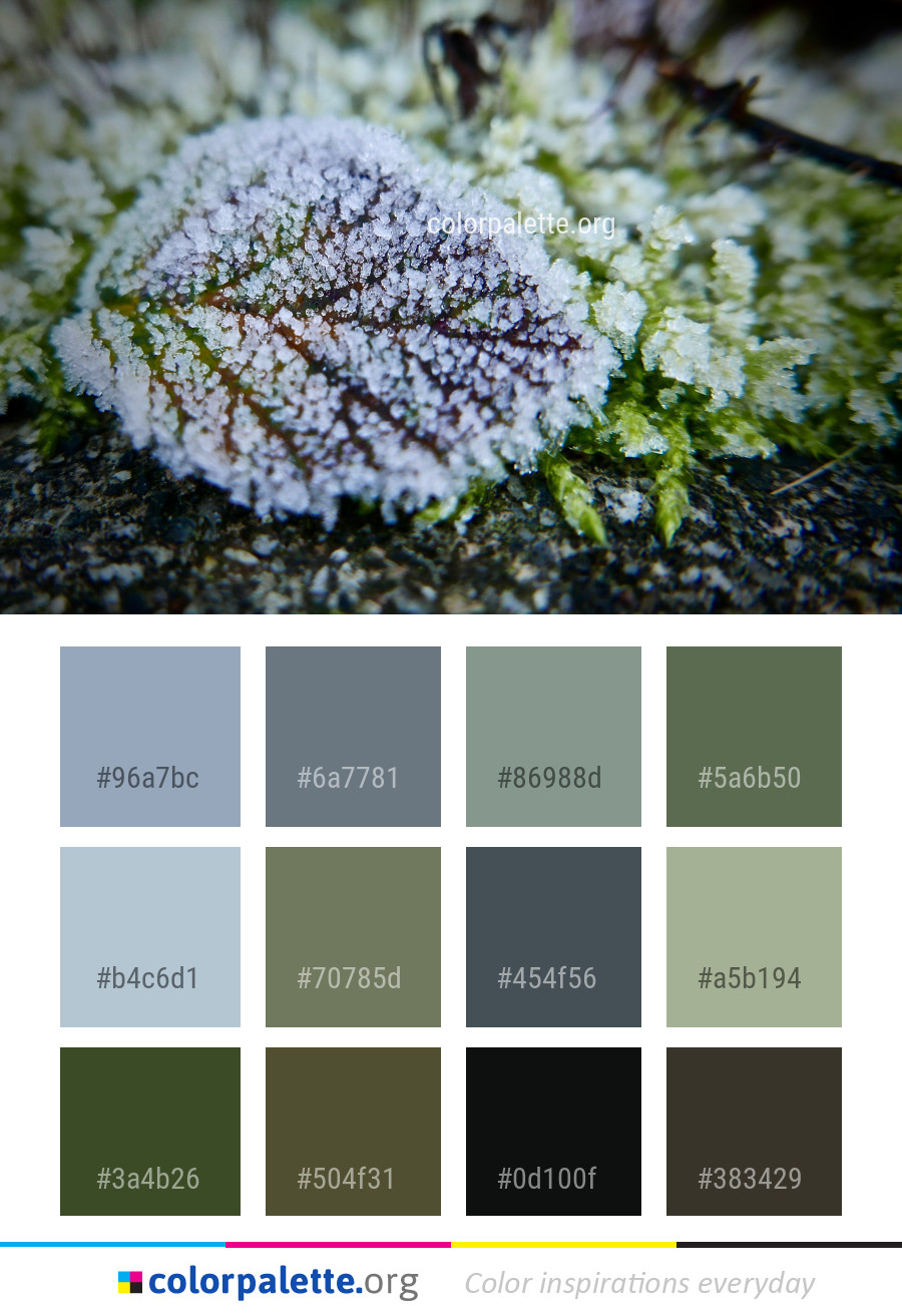 Flora Vegetation Moss Color Palette | colorpalette.org