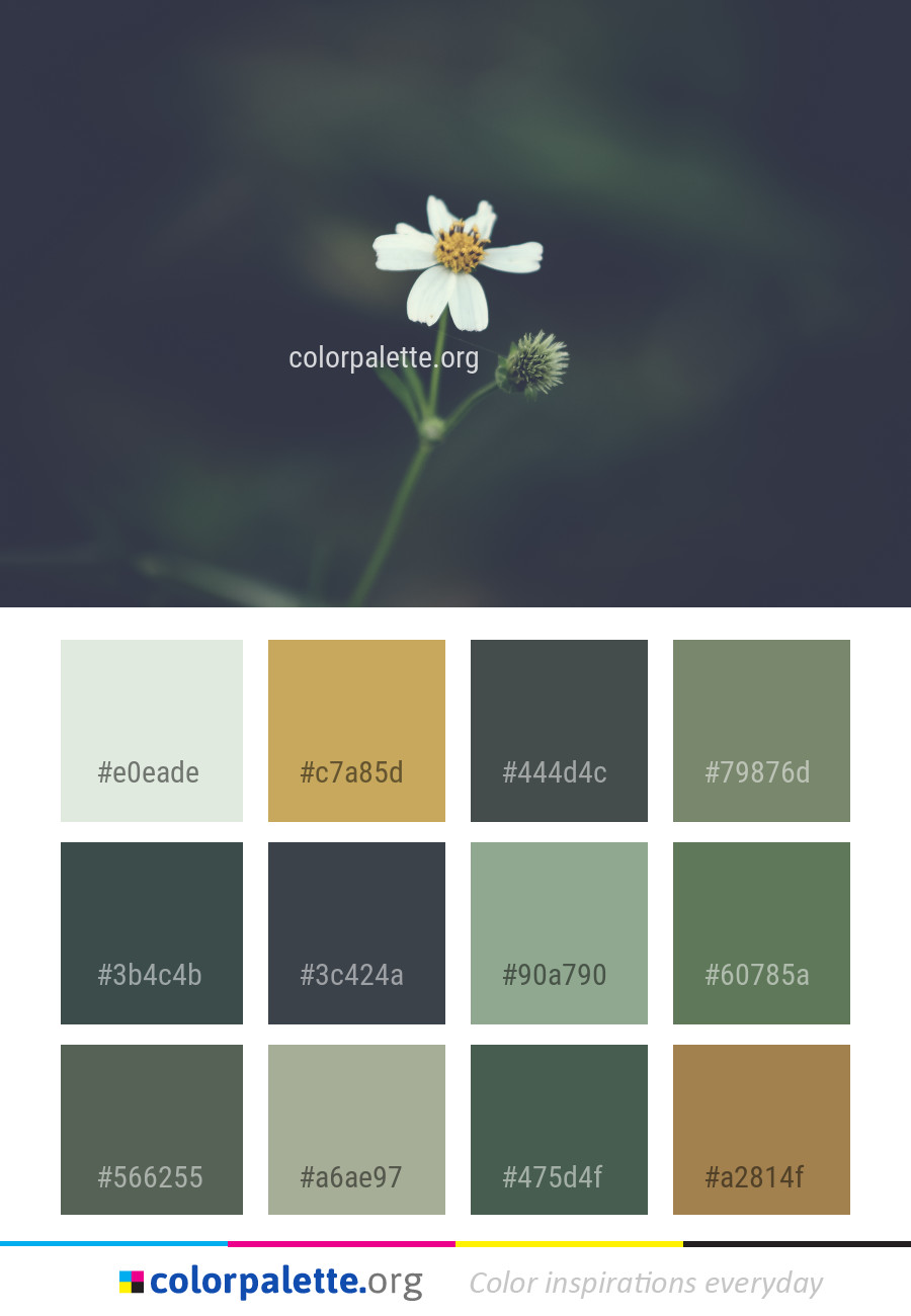 Tree Ecosystem Nature Color Palette | colorpalette.org