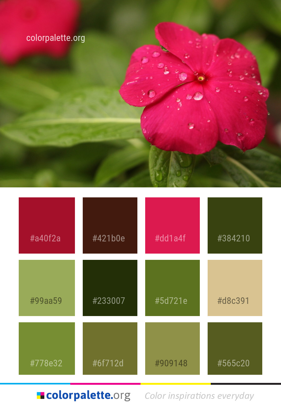 Plant Tree Leaf Color Palette | colorpalette.org