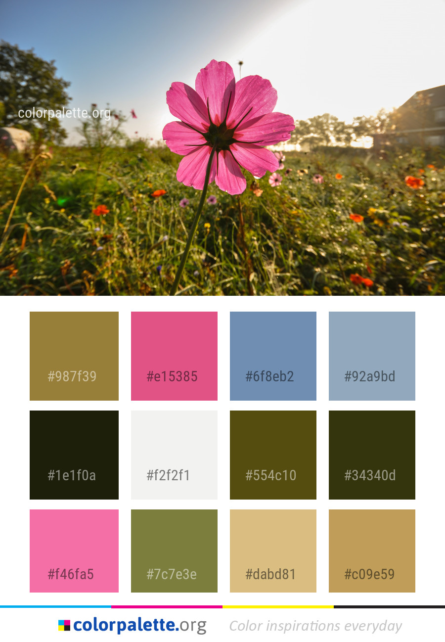 Team Sport Blue Color Palette | colorpalette.org