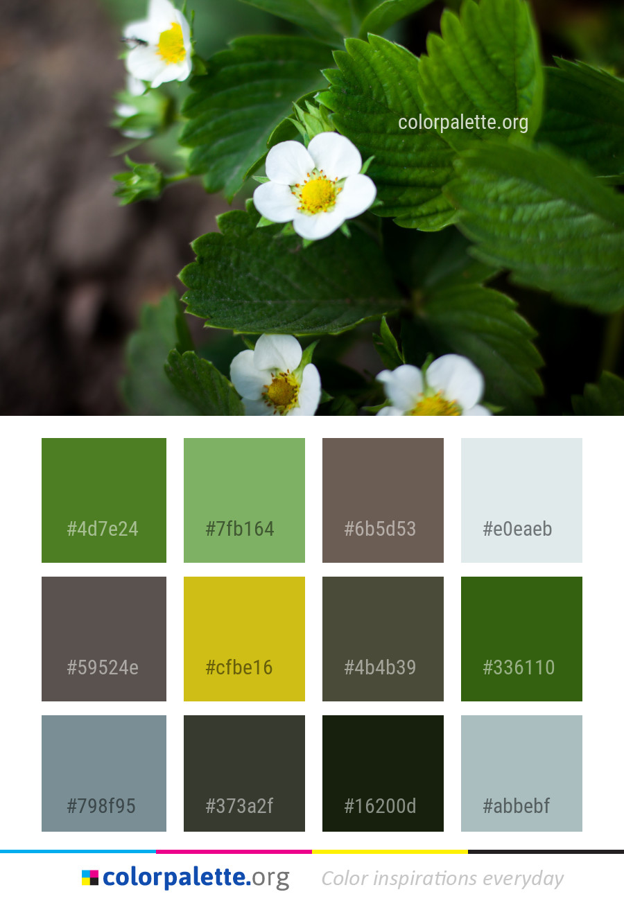 Car Land Vehicle Motor Color Palette | colorpalette.org