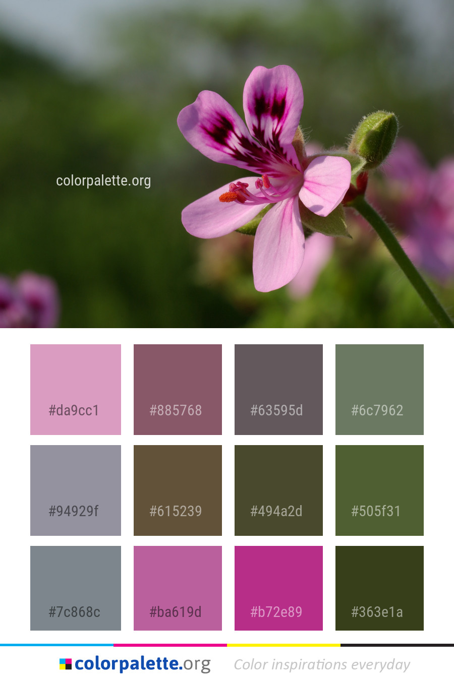 What color is petal store