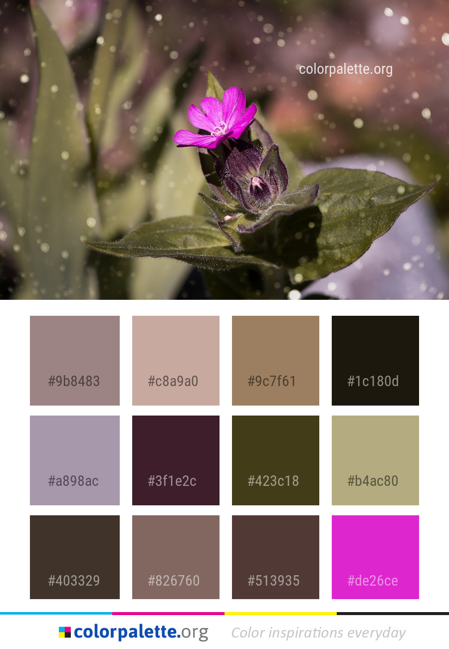 Nature Plant Botanical Garden Color Palette | colorpalette.org