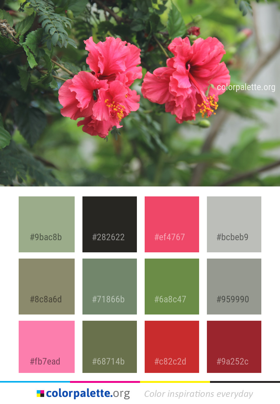 Flower Plant Flowering Color Palette | colorpalette.org