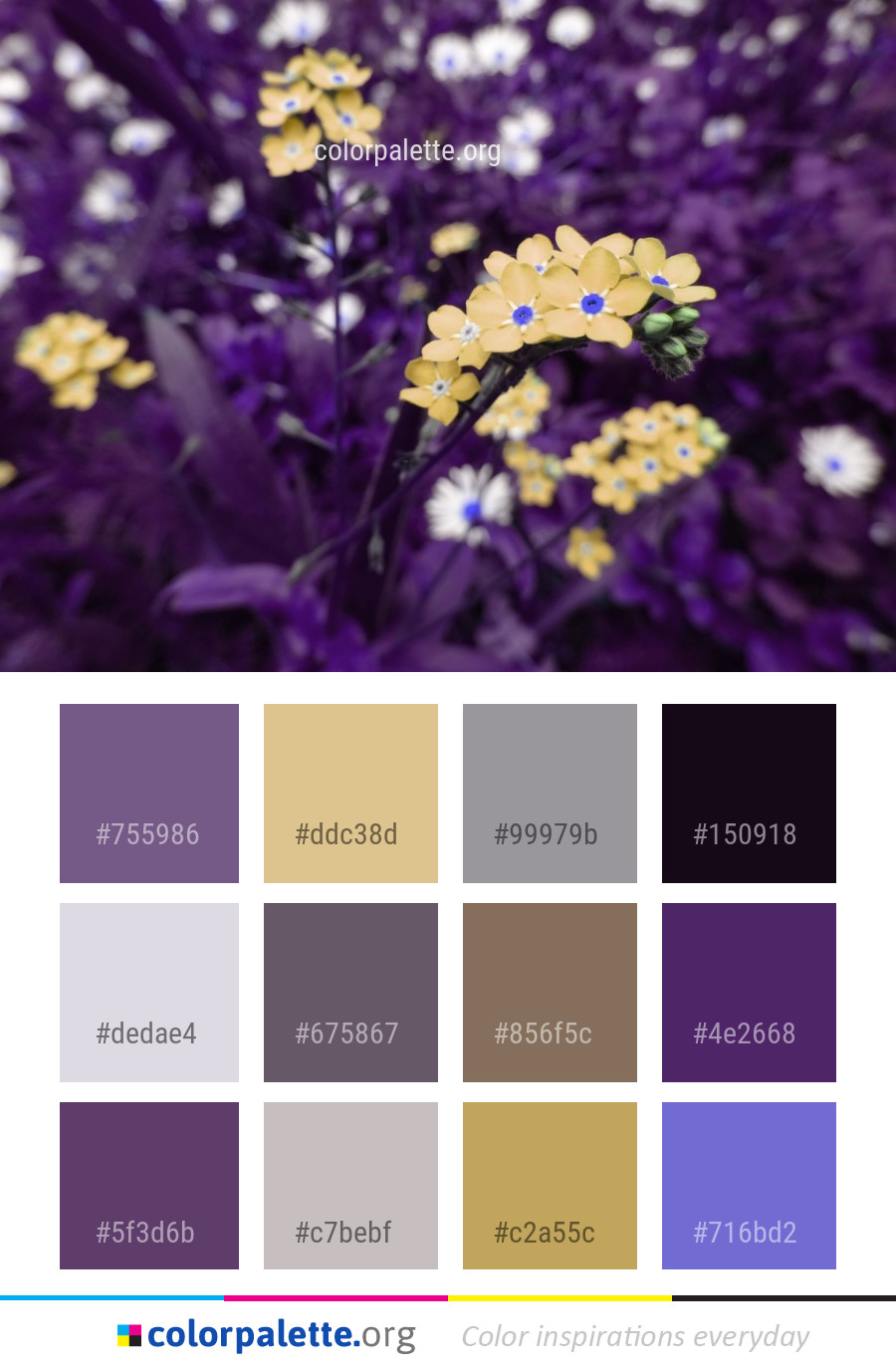 Green Academic Dress Graduation Color Palette | colorpalette.org