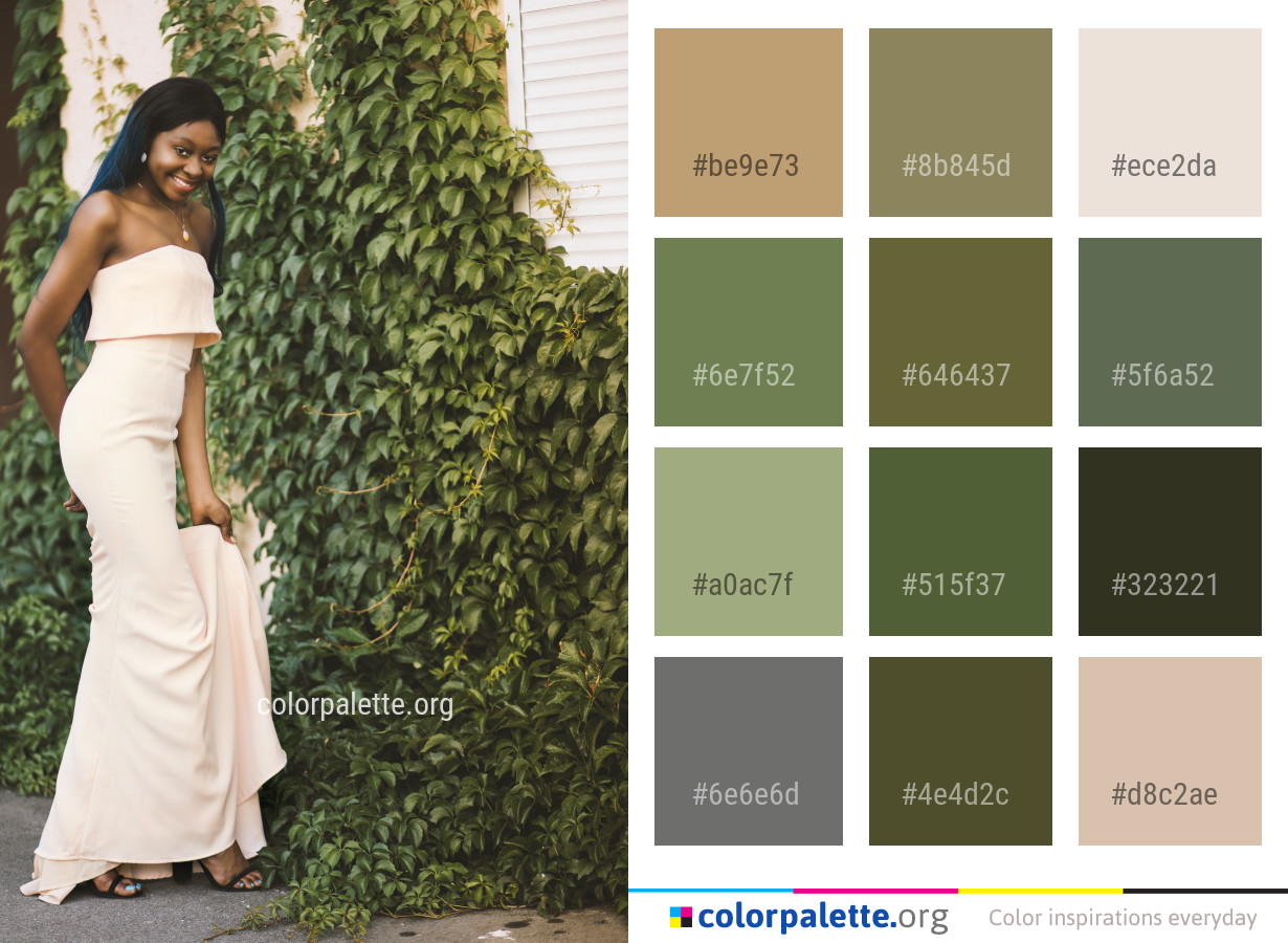 Gown Dress Photo Shoot Color Palette | colorpalette.org