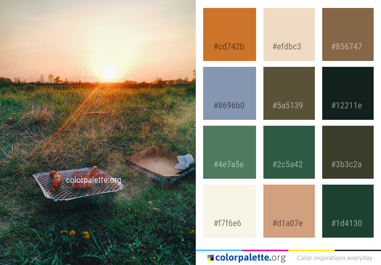 Photograph Path Track Color Palette | colorpalette.org