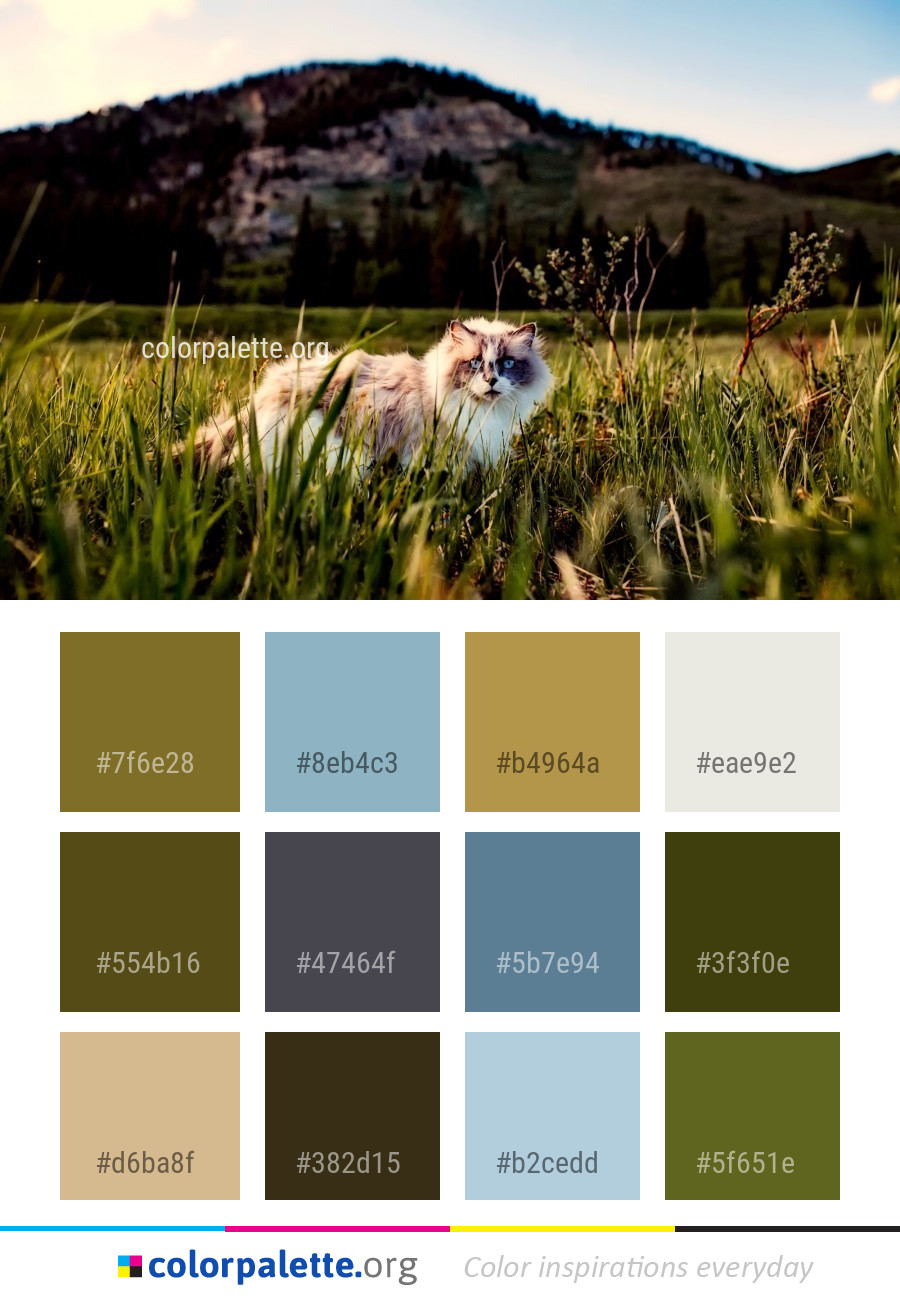 Soil Plant Grass Color Palette | colorpalette.org Soil Plant Grass Color Palette | colorpalette.org
