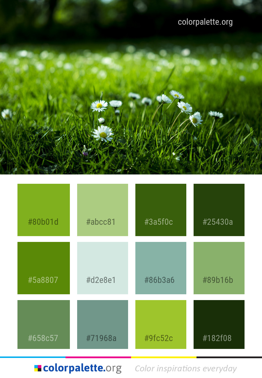 Soil Grass Family Color Palette | colorpalette.org Soil Grass Family Color Palette | colorpalette.org