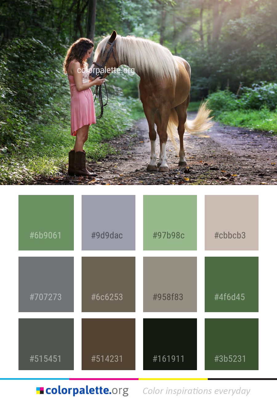 Horse Like Mammal Tree Color Palette | colorpalette.org