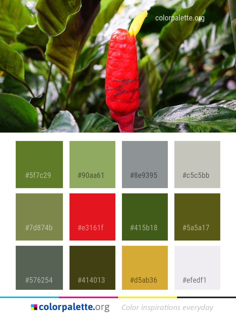 Dew Water Drop Color Palette | colorpalette.org