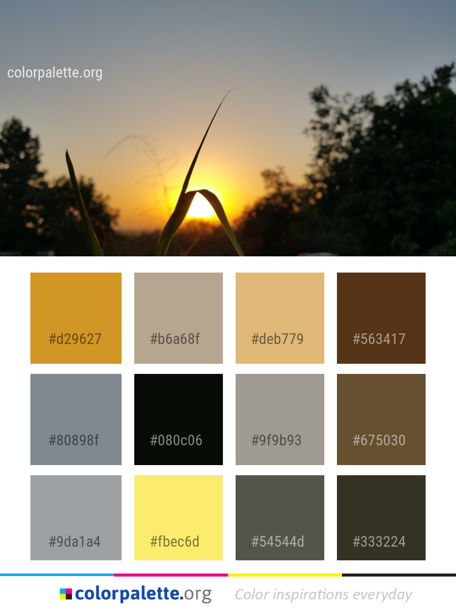 Nature Fire Bonfire Color Palette | colorpalette.org