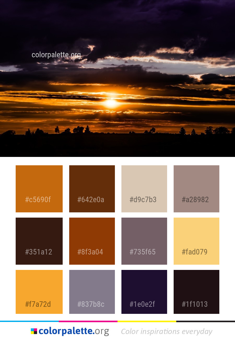 Road Car Motor Vehicle Color Palette | colorpalette.org