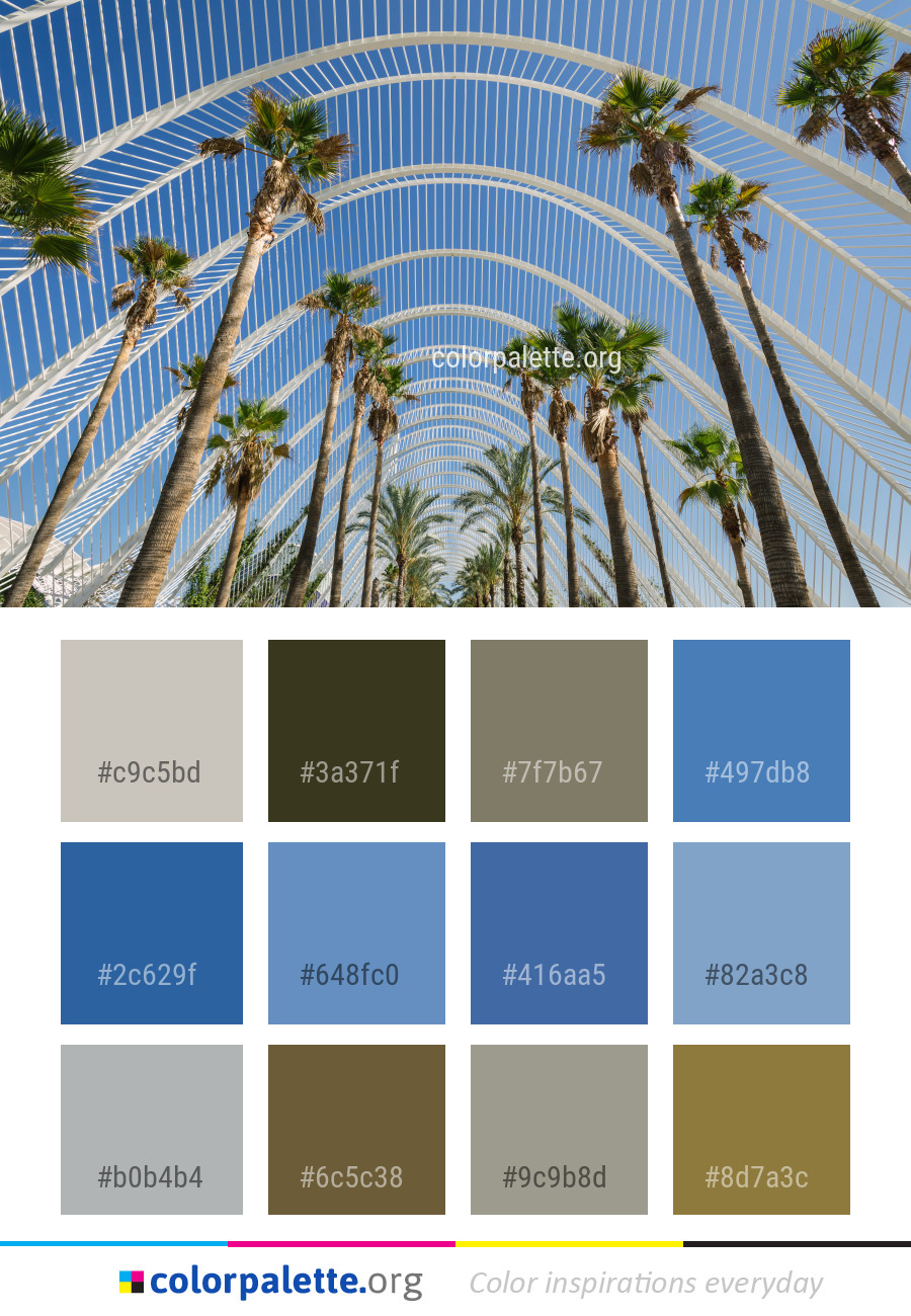 Jewellery Ring Finger Color Palette | colorpalette.org