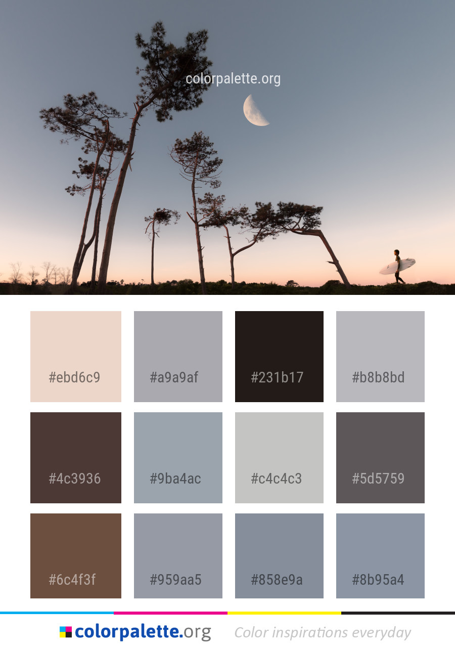 Nature Sky Loch Color Palette | colorpalette.org