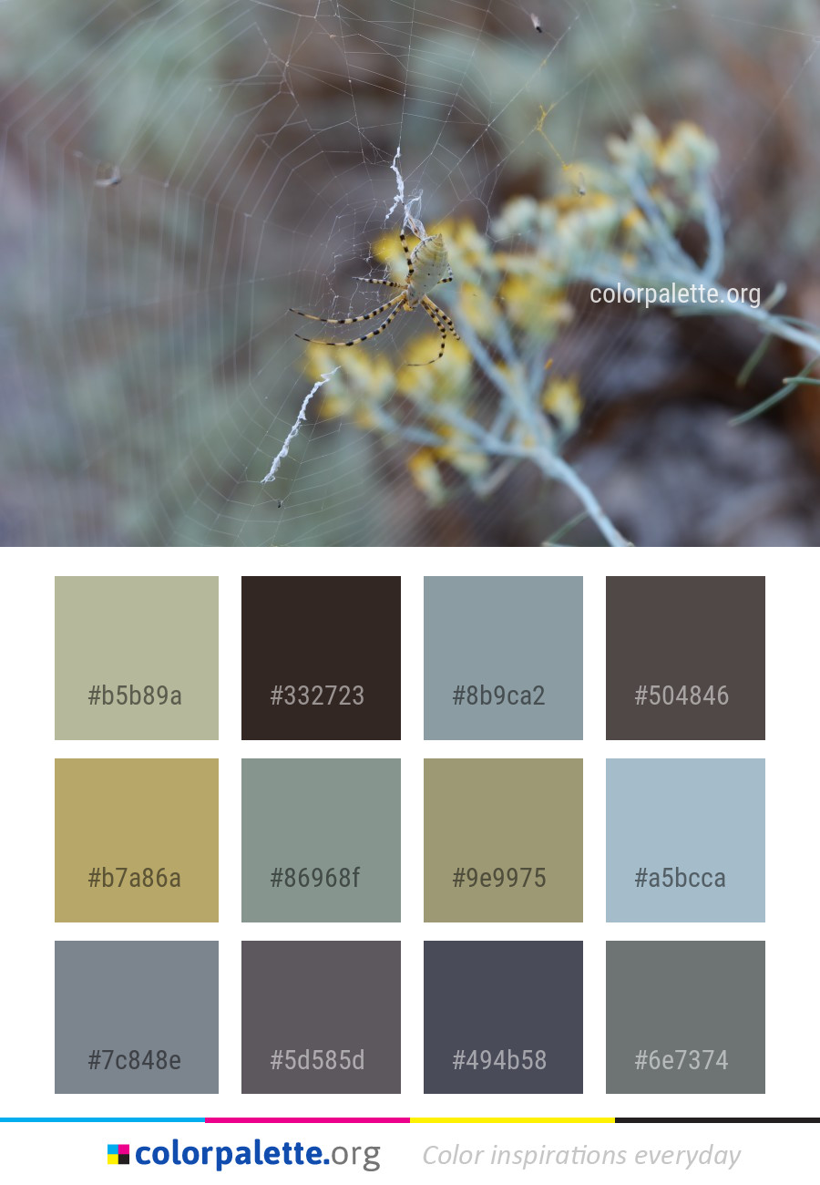 Car Land Vehicle Color Palette | colorpalette.org
