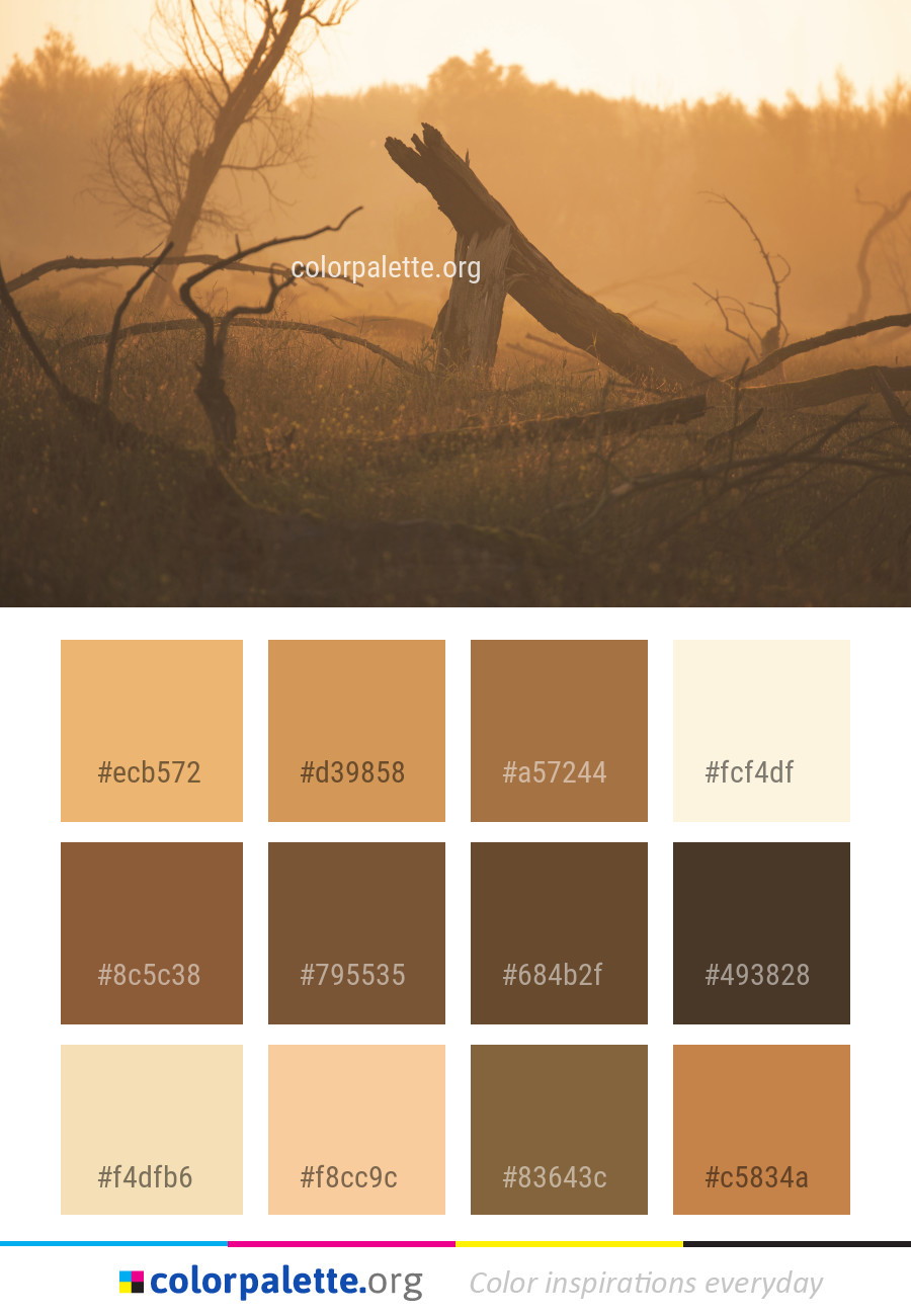 Tree Morning Sunlight Color Palette | colorpalette.org