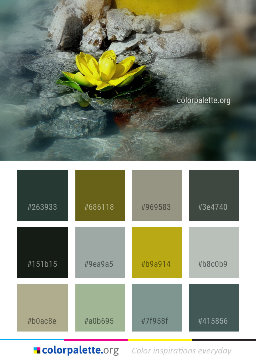 Car Land Vehicle Road Color Palette | colorpalette.org