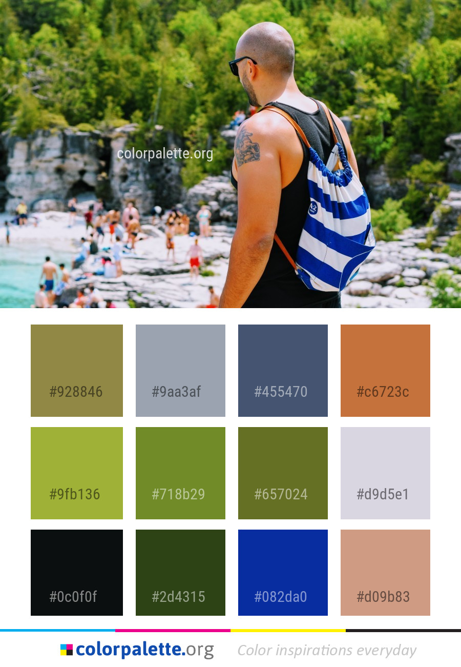 Sports Color Palette ideas | colorpalette.org