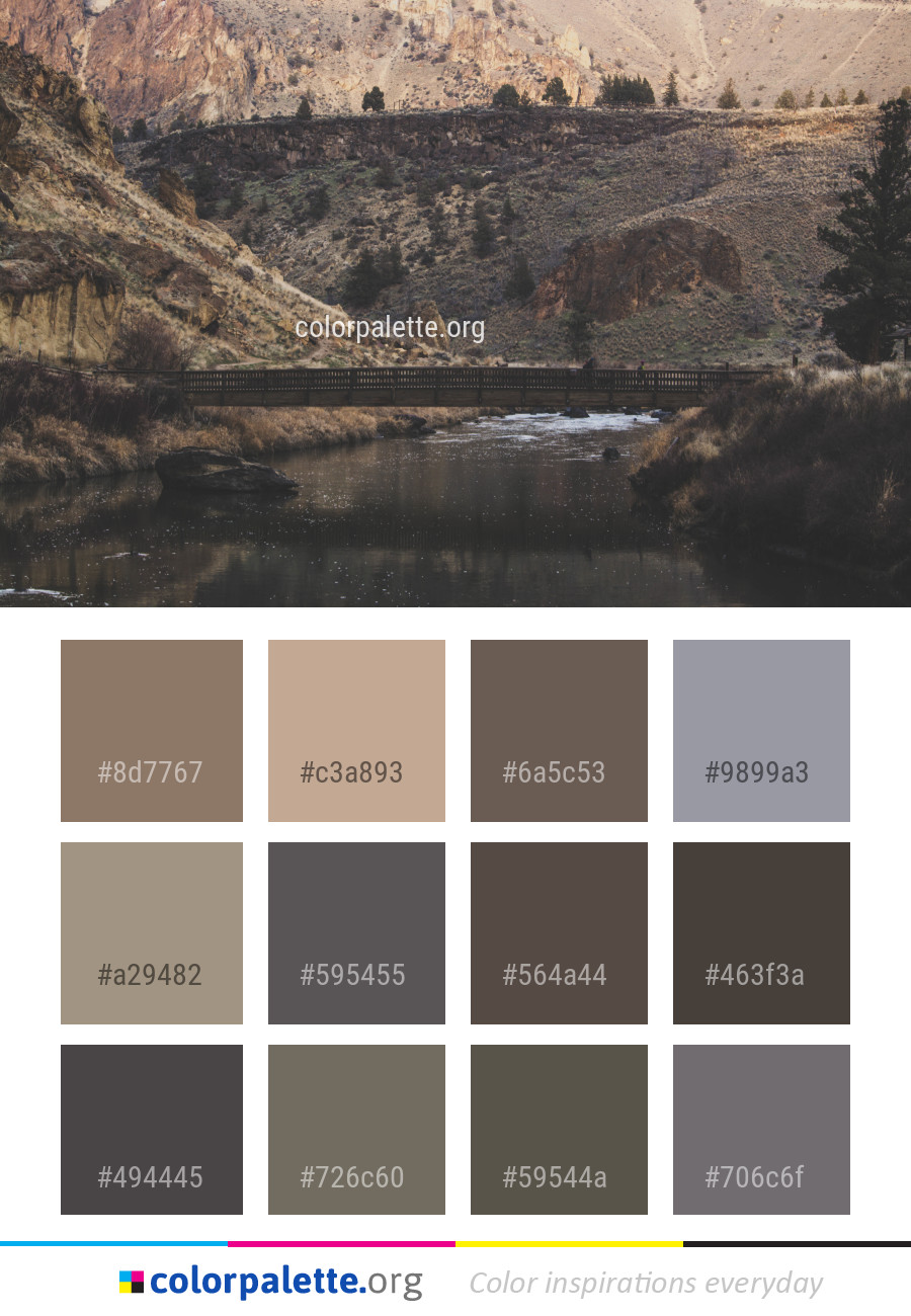 Flower Pink Plant Color Palette | colorpalette.org