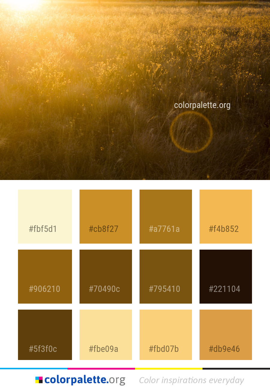 Yellow Field Grass Family Color Palette | colorpalette.org