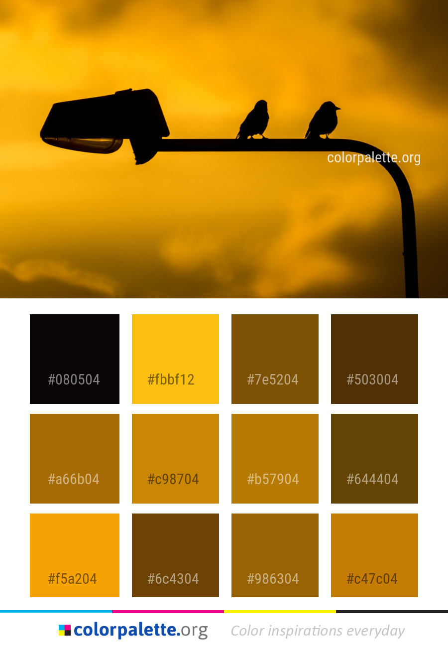 Sky Cloud Grassland Color Palette | colorpalette.org